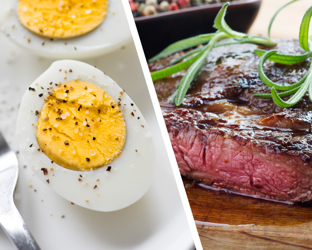 Egg Protein vs Meat Protein