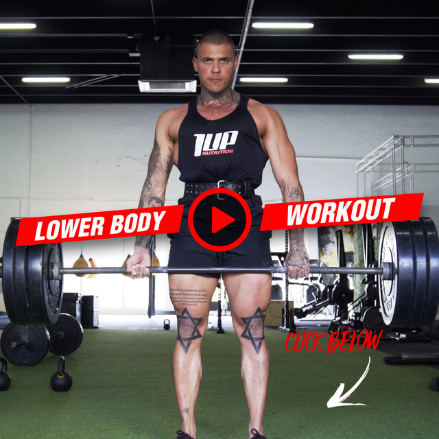 Lower Body Workout