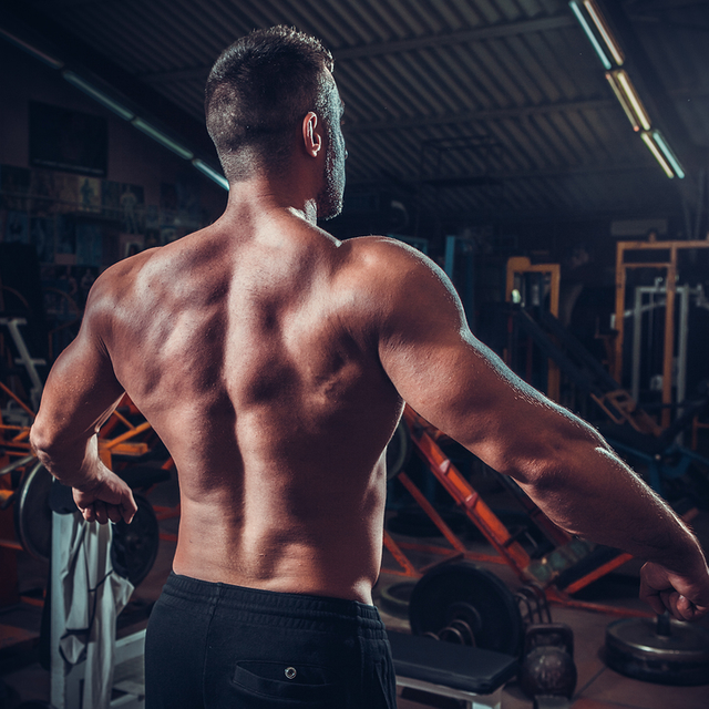 Strengthening the Lower Back