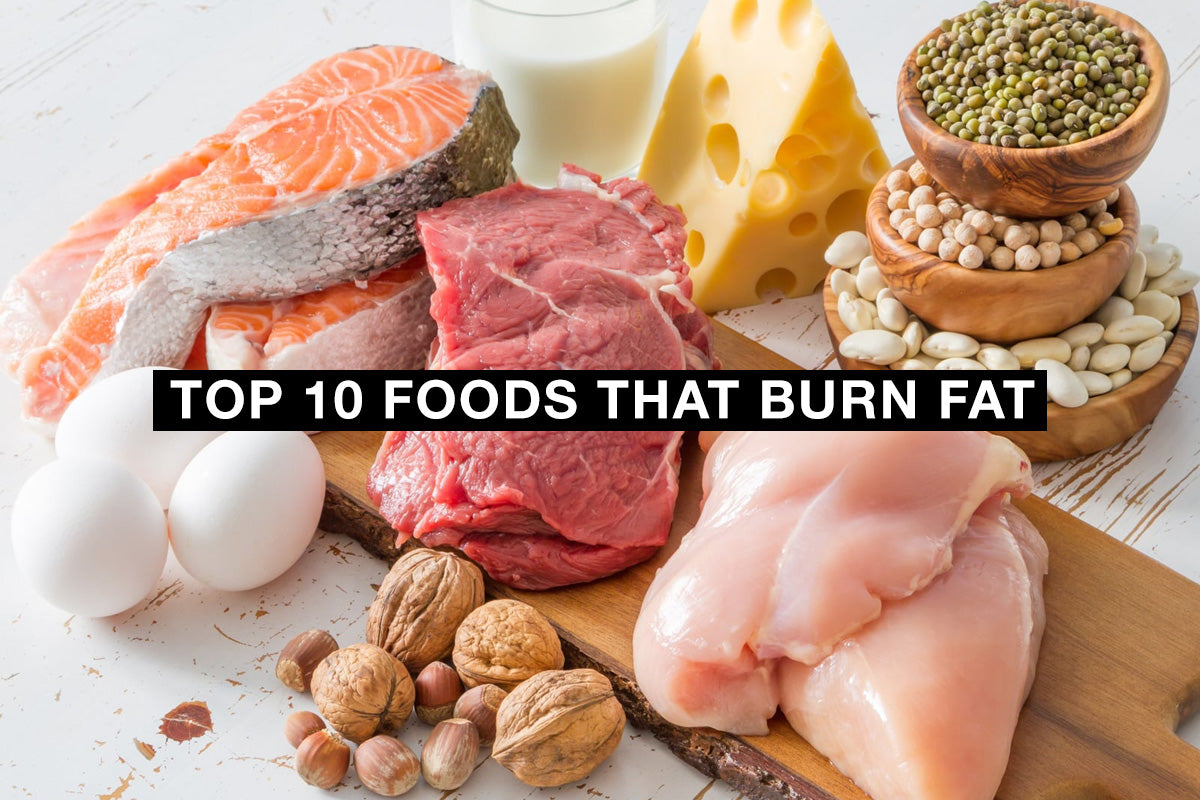 Top 10 Foods That Burn Fat – 1 Up Nutrition