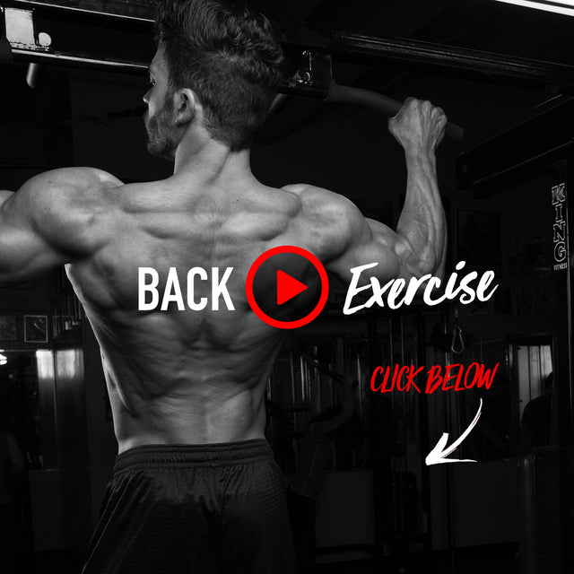 Seated Cable Rows
