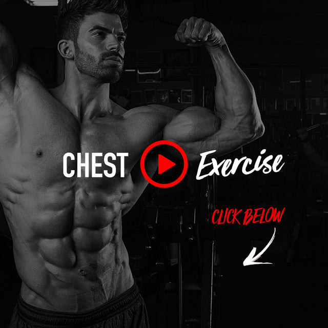 Pec Fly Machine